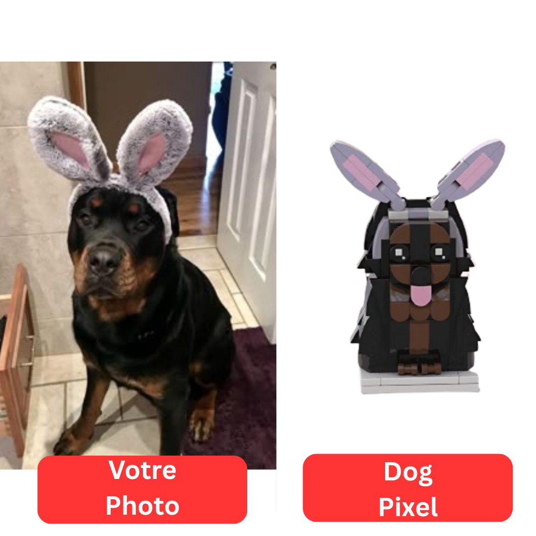 Pixel Pets – Pixel Humans